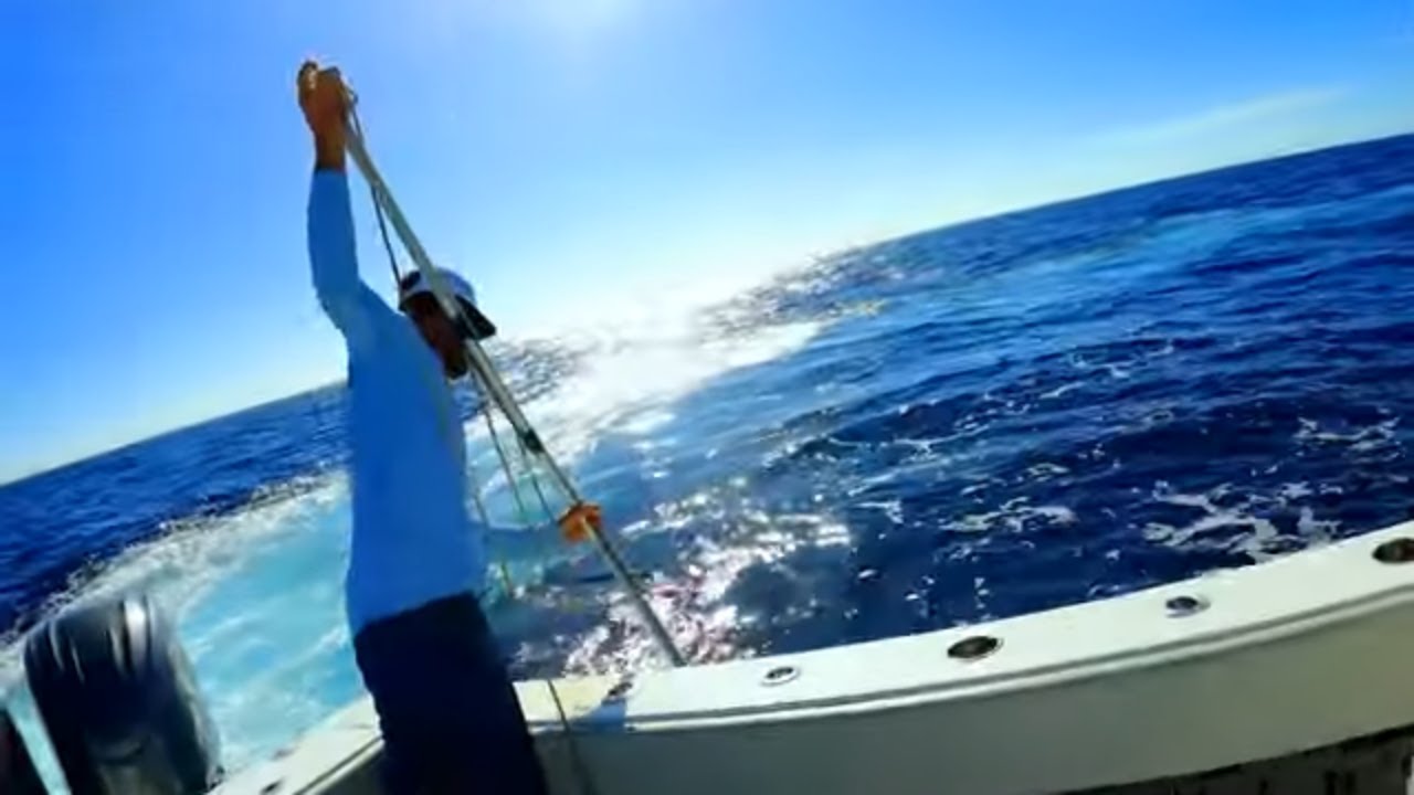 Swordfishing with the 'Broad Minded' with Capt. Nick Stanczyk! Nice ...