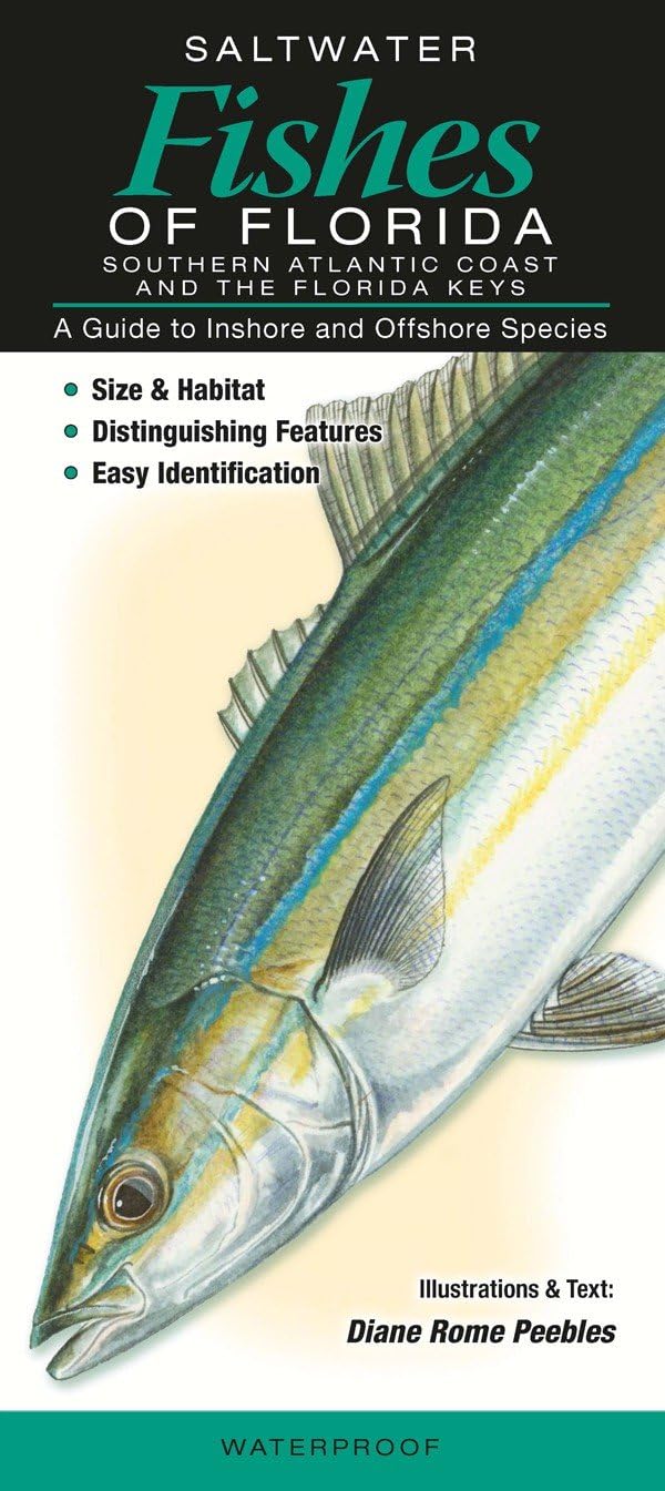saltwater-fishes-of-florida-southern-atlantic-coast-the-florida-keys-a ...