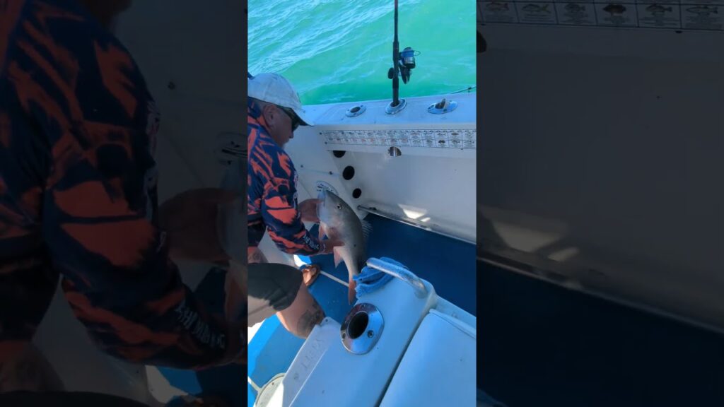 Teaching guys that they can catch fish 15 minutes from the dock. | Keys ...