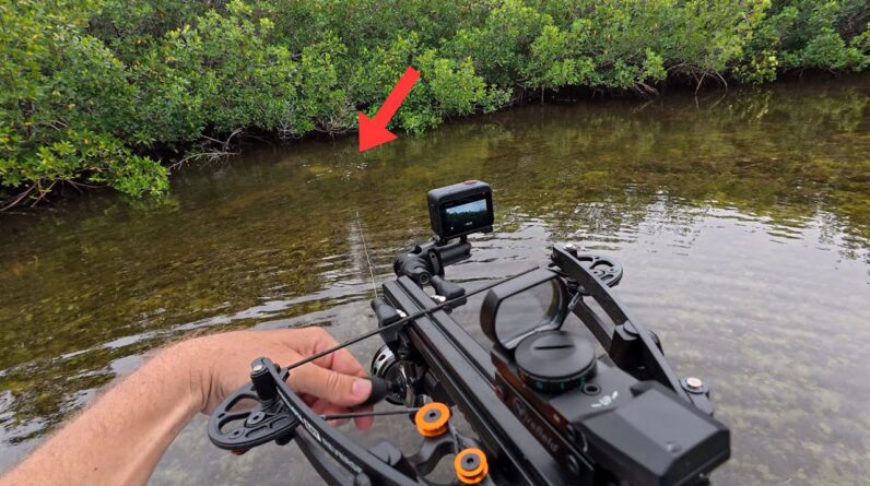 My Fishing Bow EXPLODES in my hands! 🤯 Catch Clean Cook