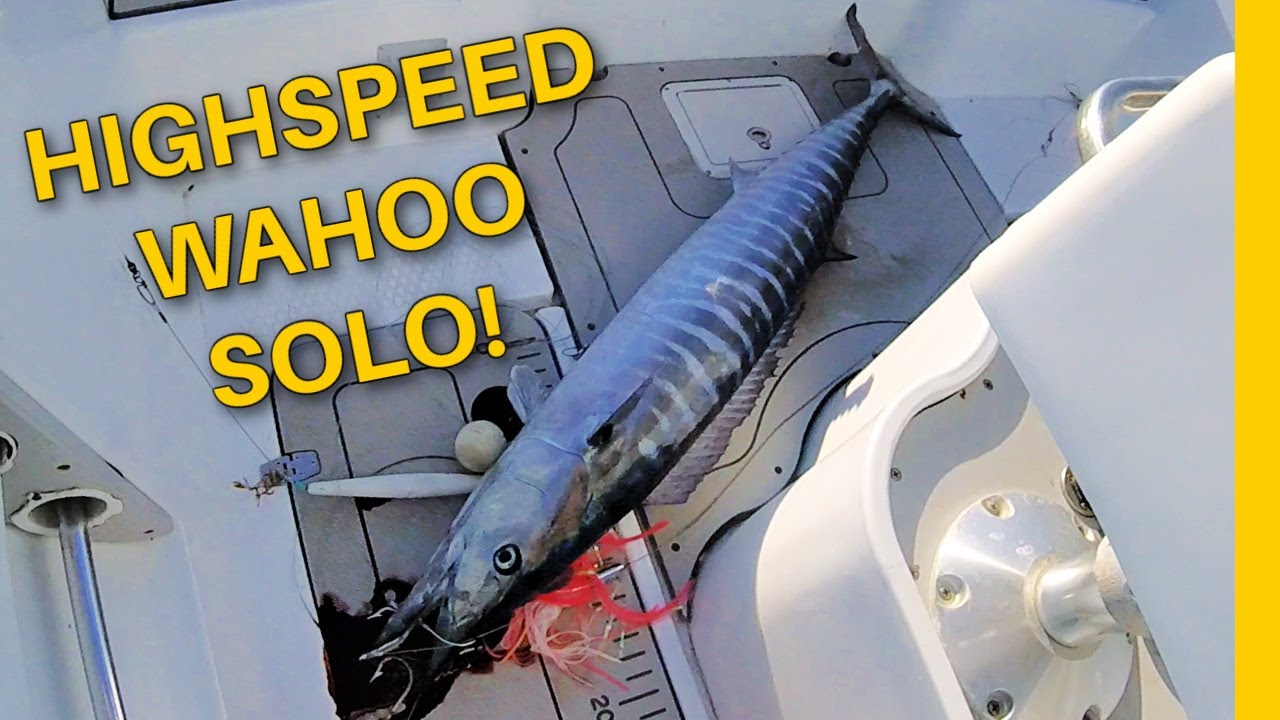 SOLO Wahoo Fishing Gone Wild: My First Monster Wahoo on High-Speed ...