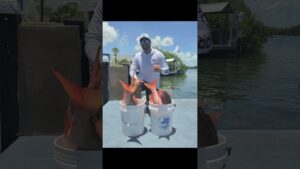 Great Fishing Charter Catch in June- Florida Keys Snapper